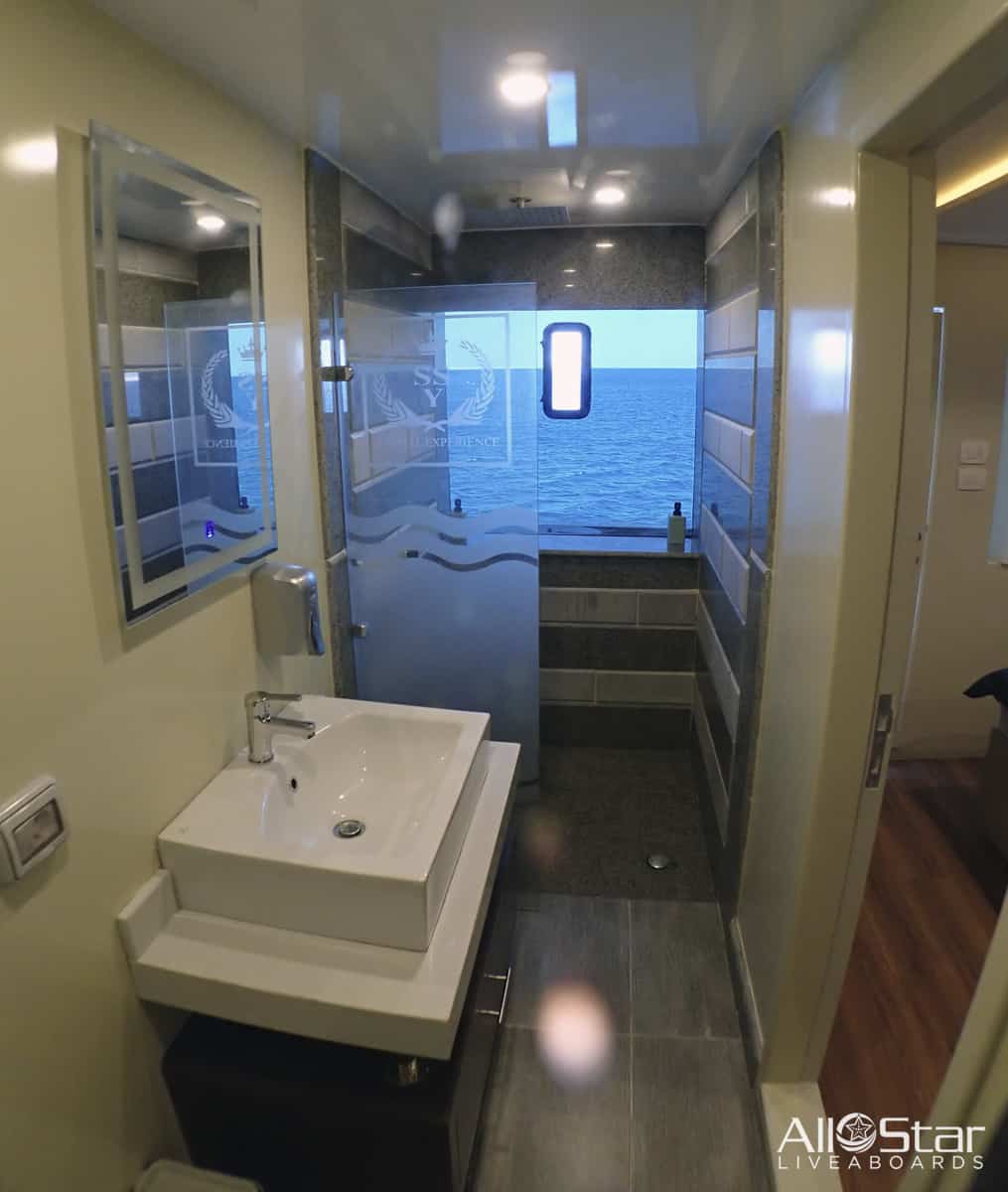 All Star Scuba Scene | Red Sea Liveaboard | Infinite Blue Dive Travel