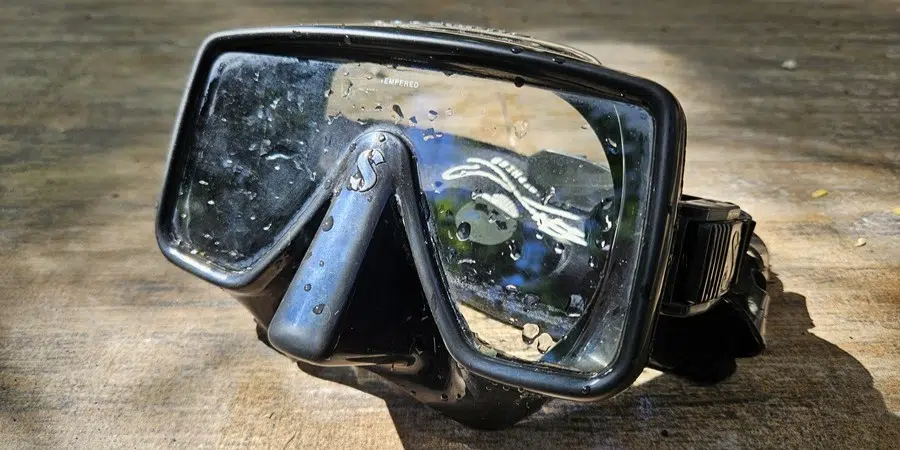 The Best Scuba Diving Masks | To See or not to Sea